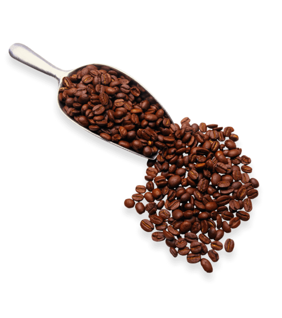 Your Finest Coffee Destination - Coffee Treat